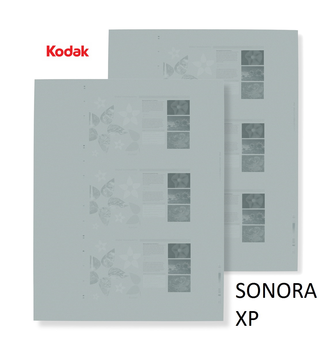 Kodak_Sonora_XP_Photo2ter - Sofogra